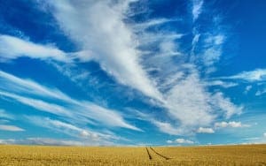 How To Implement Learning Vector Quantization (LVQ) From Scratch With ...