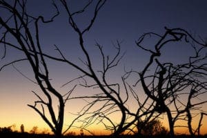 A Gentle Introduction to the Gradient Boosting Algorithm for Machine ...