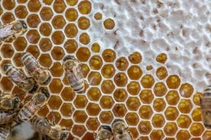 How to Evaluate the Performance of PyTorch Models - MachineLearningMastery.com