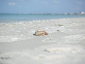 5 of the Most Influential Machine Learning Papers of 2024 ...