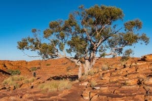 Prediction Intervals for Machine Learning - MachineLearningMastery.com