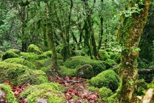 A Gentle Introduction to Computer Vision - MachineLearningMastery.com