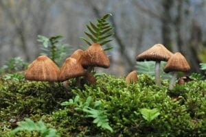 A Gentle Introduction to Exploding Gradients in Neural Networks ...