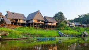 How to Classify Photos of Dogs and Cats (with 97% accuracy ...