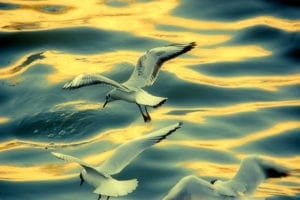 How to Develop a Wasserstein Generative Adversarial Network (WGAN) From ...