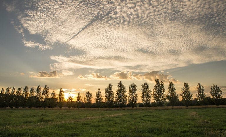 SMOTE for Imbalanced Classification with Python ...