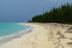 How to Use AutoKeras for Classification and Regression ...