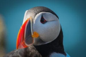 A Gentle Introduction to Model Selection for Machine Learning - MachineLearningMastery.com