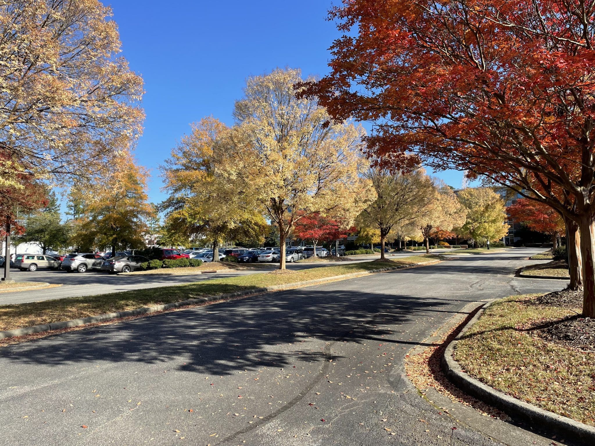 Understanding RAG Part I: Why It's Needed - MachineLearningMastery.com