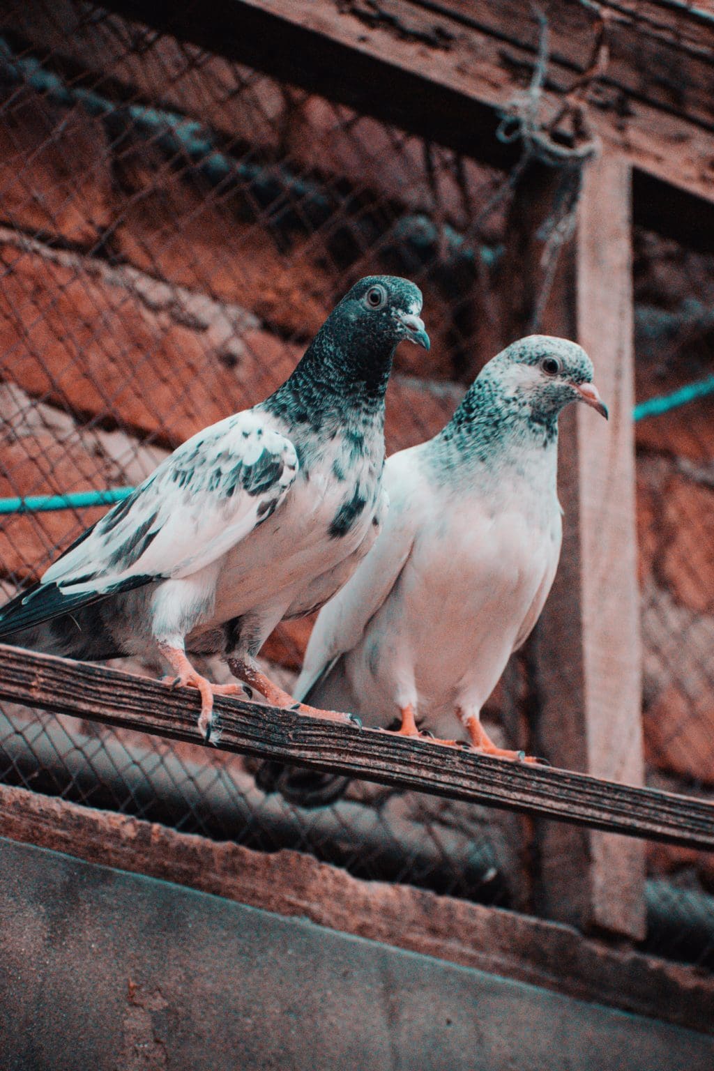 A Gentle Introduction to Positional Encoding in Transformer Models, Part 1 ...